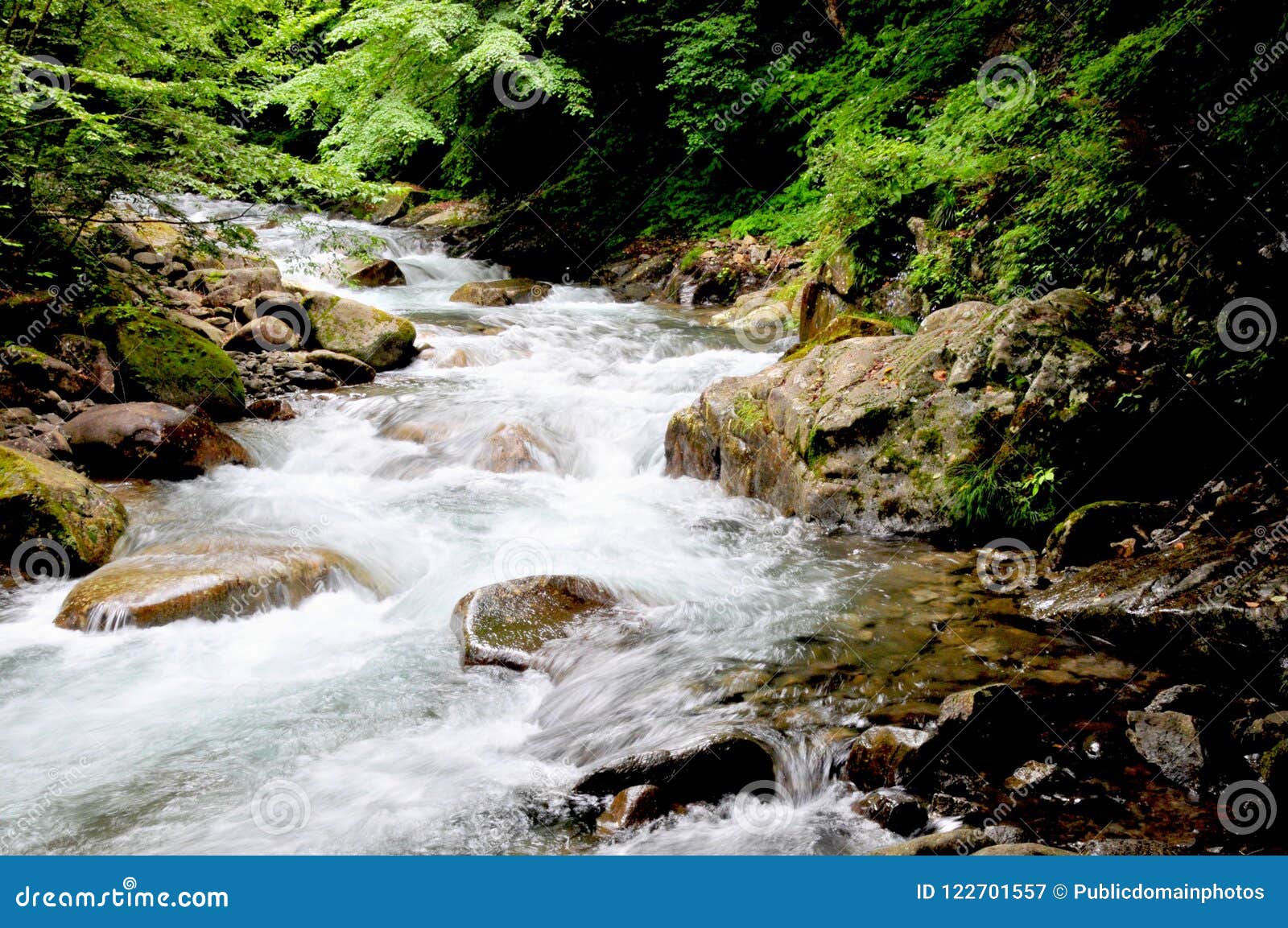 Stream, Water, Nature, Watercourse Picture. Image: 122701557