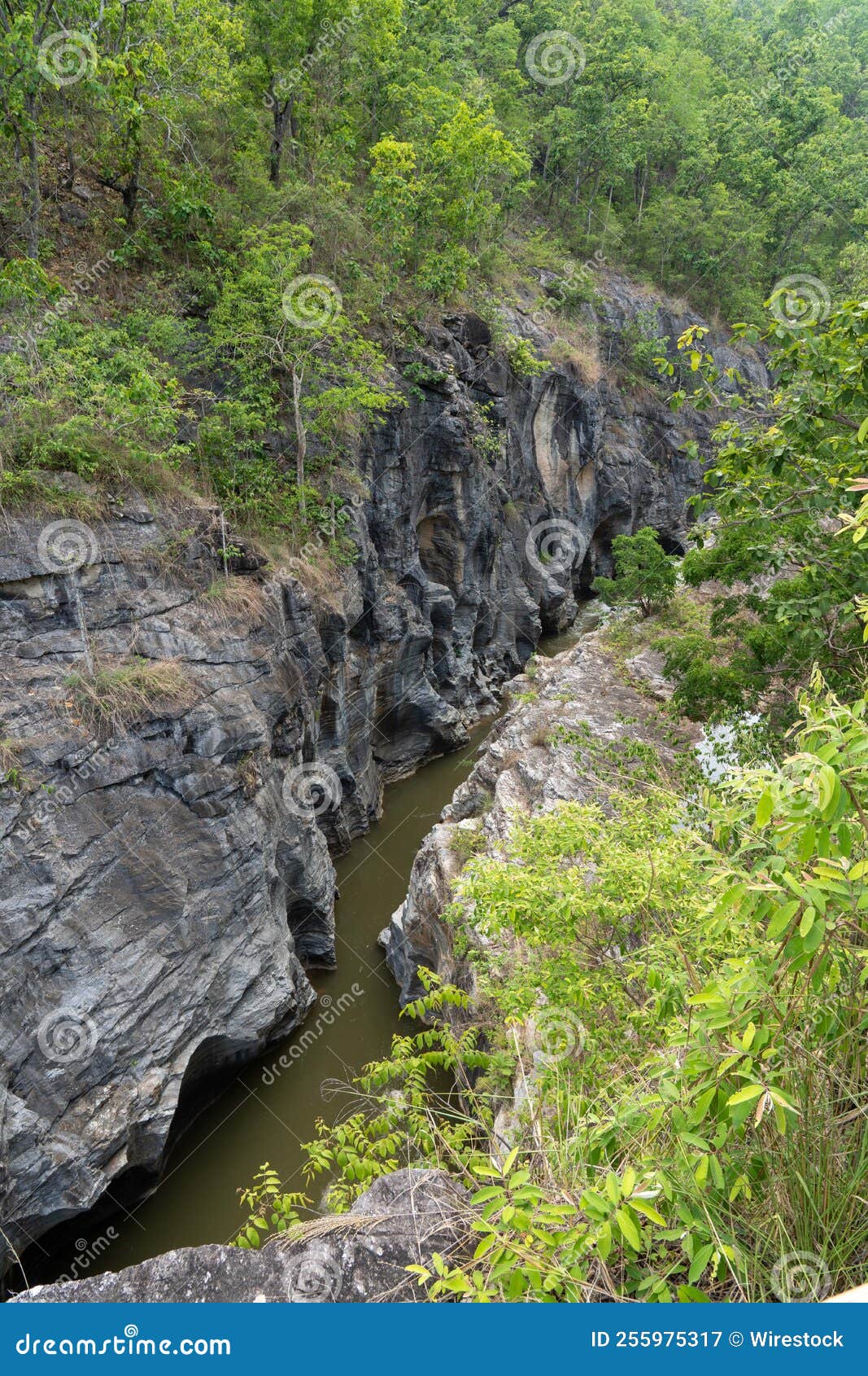 Stream of Water Passing between Tall Cliffs Stock Image - Image of ...