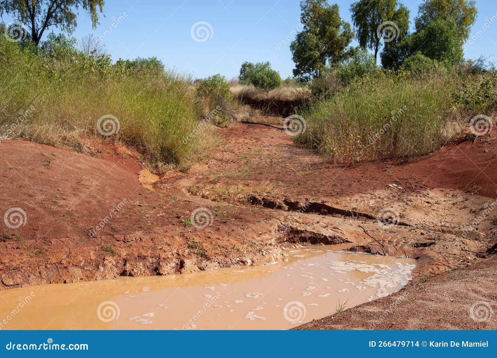 Stream with Water after Rain in the Outback Stock Photo - Image of ...