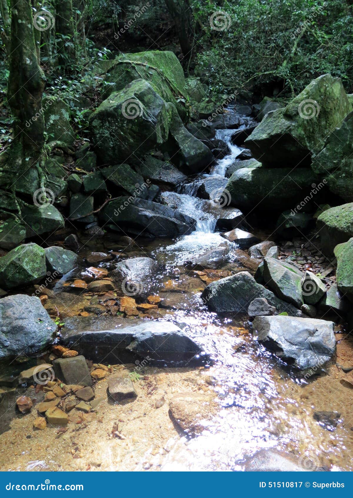Stream with Water on the Rocks Stock Image - Image of river, washing ...