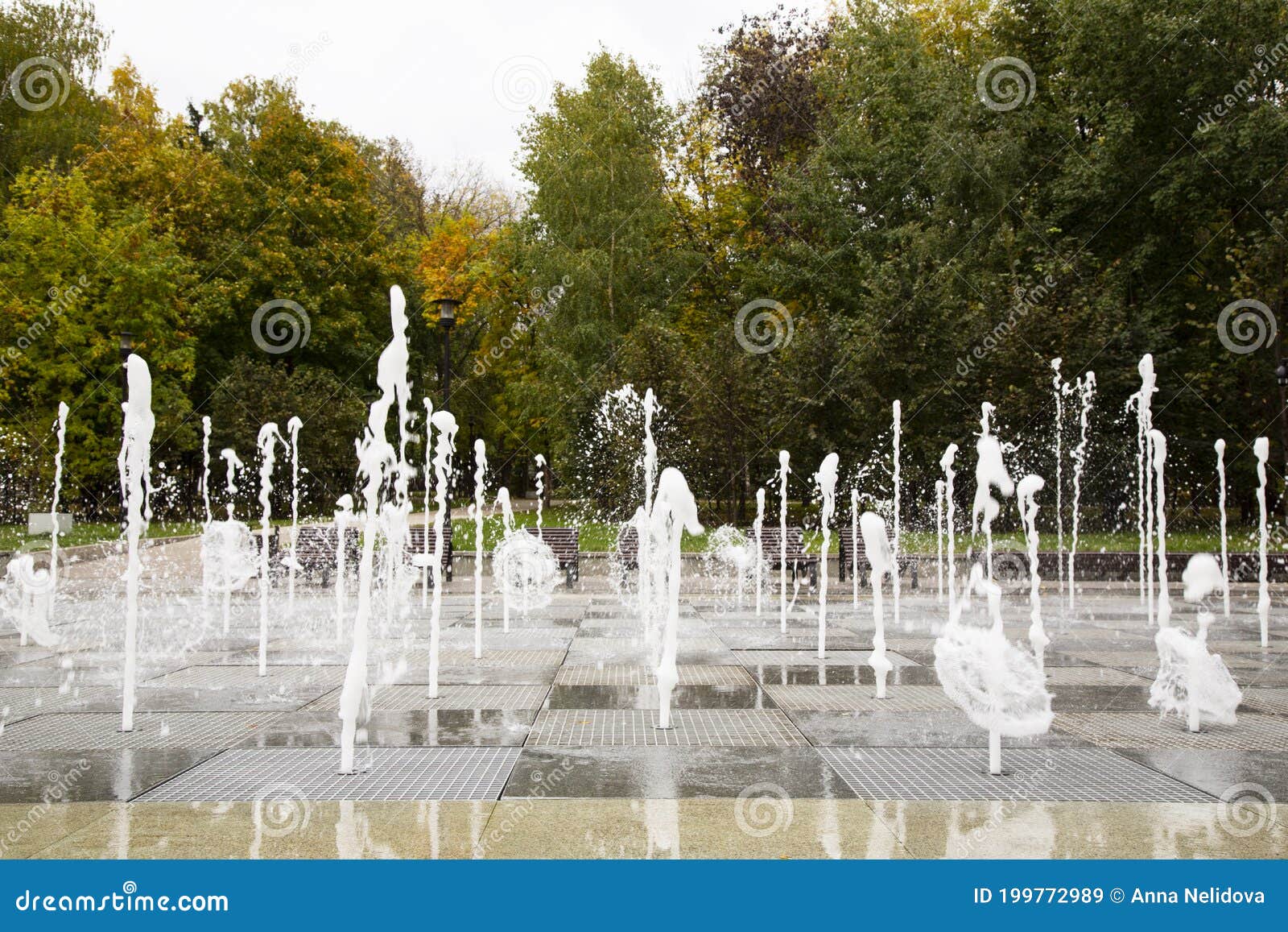 A Stream of Water Splashes on the Ground. a Group of Fountains Stock ...