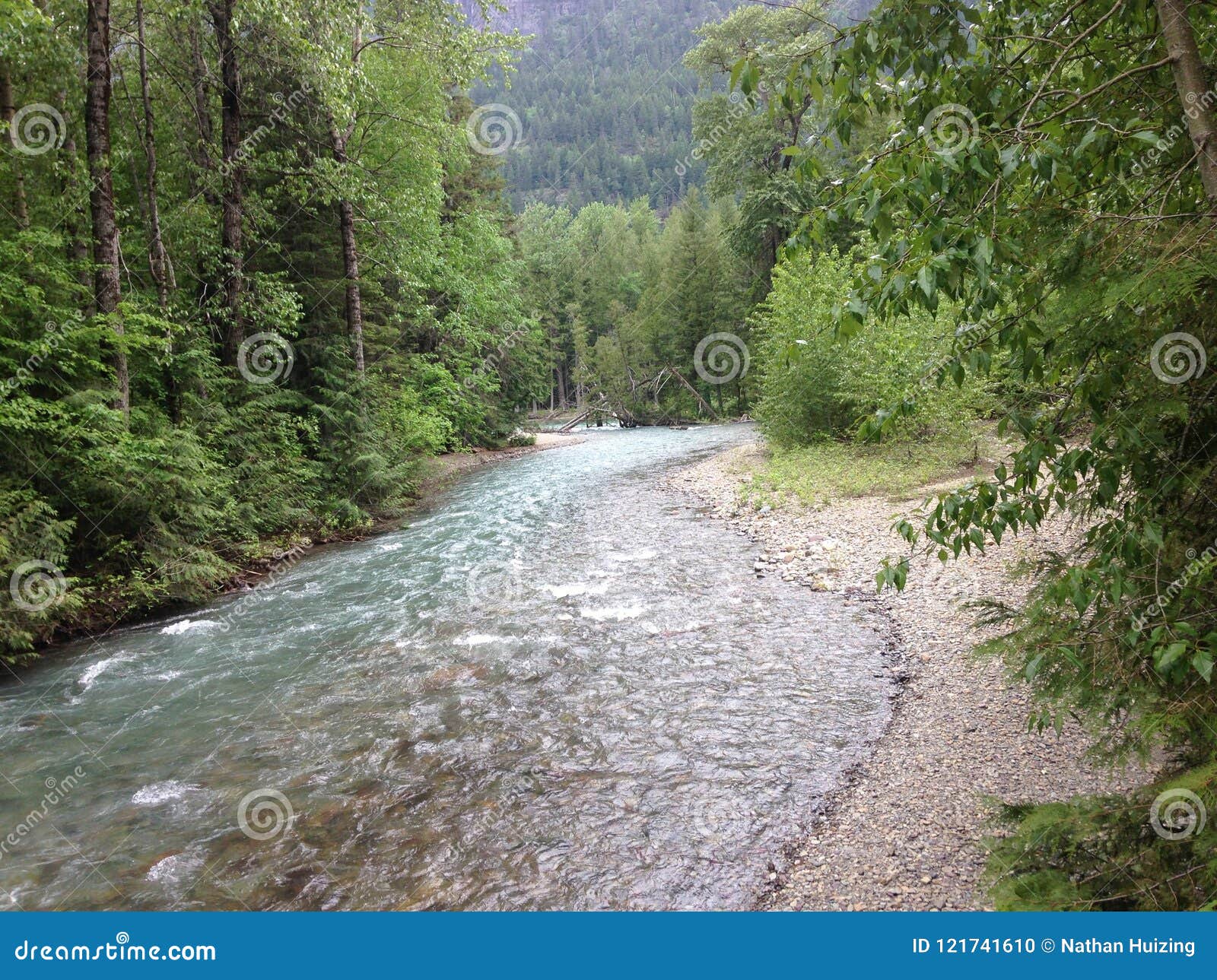 Stream of water stock photo. Image of flowing, stream - 121741610