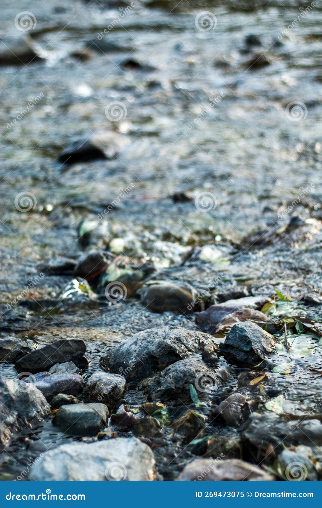 The Stream Water Washes Hard Rocks Stock Image - Image of quiet, flow ...