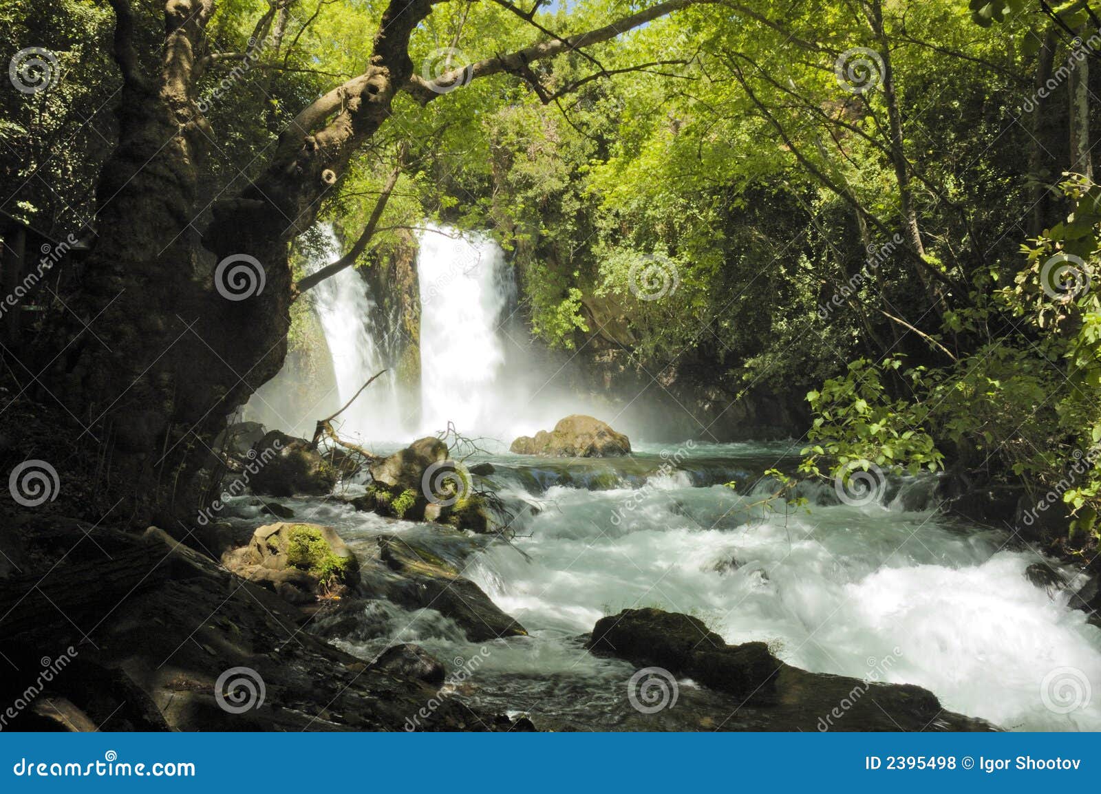 Stream and waterfall stock photo. Image of motion, ravine - 2395498