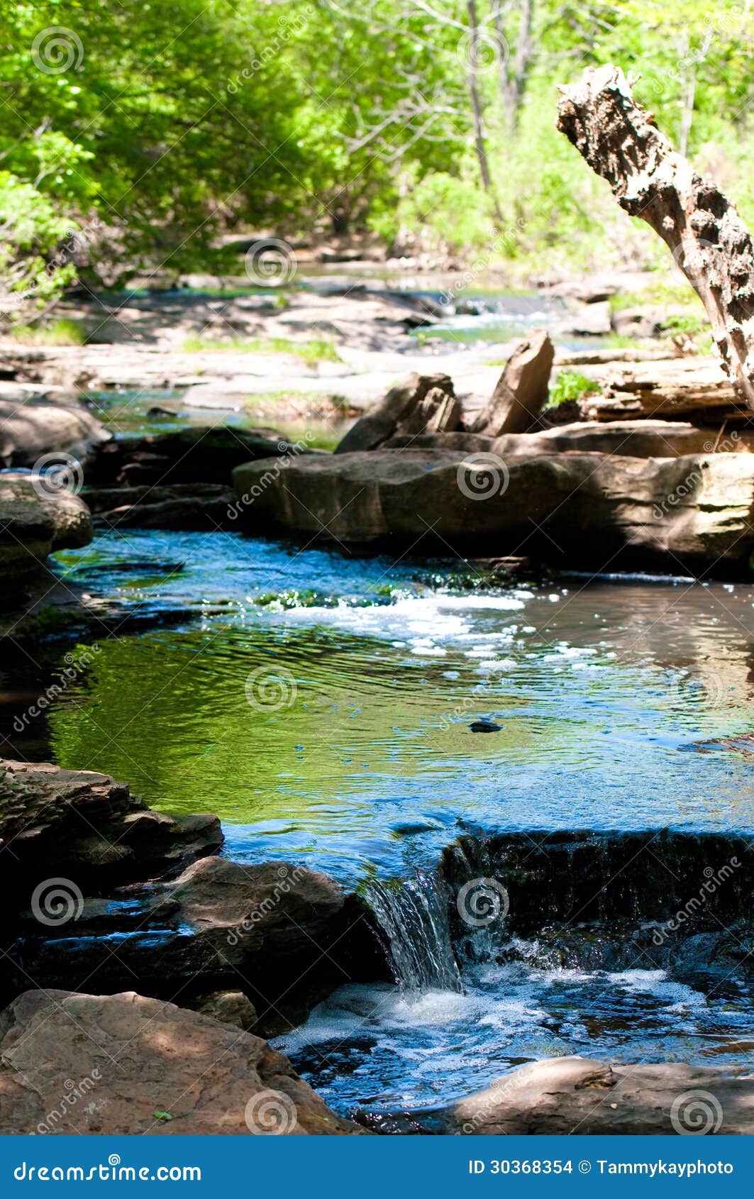 Stream with waterfall stock photo. Image of flow, moss - 30368354