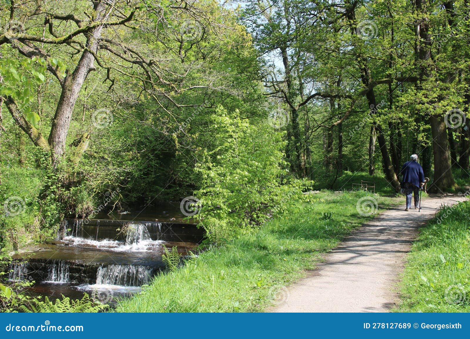 Stream, Waterfall, Path, Walker, Woods, Spring Stock Image - Image of ...