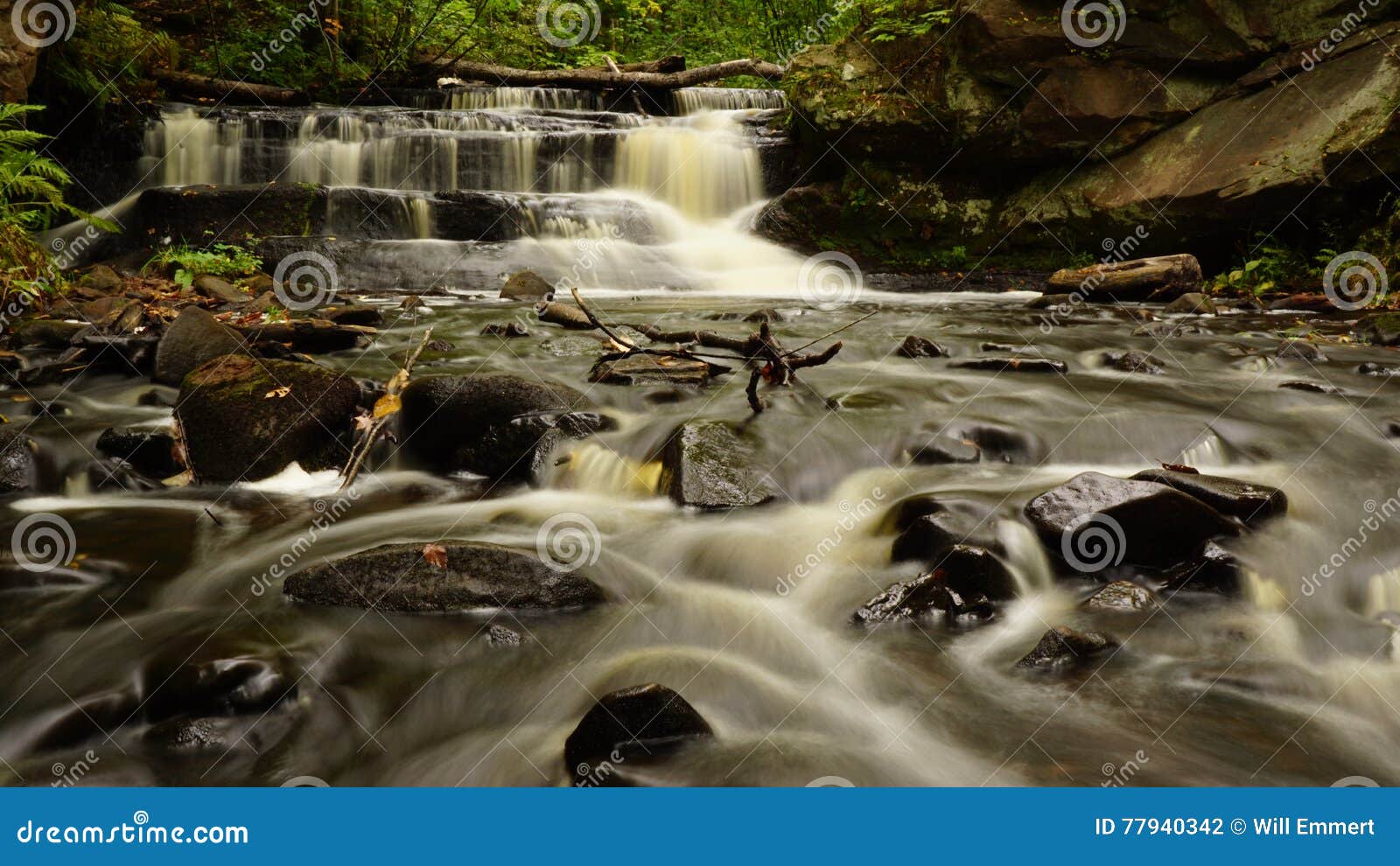 Stream with Waterfalls Running through a Forest Stock Photo - Image of ...