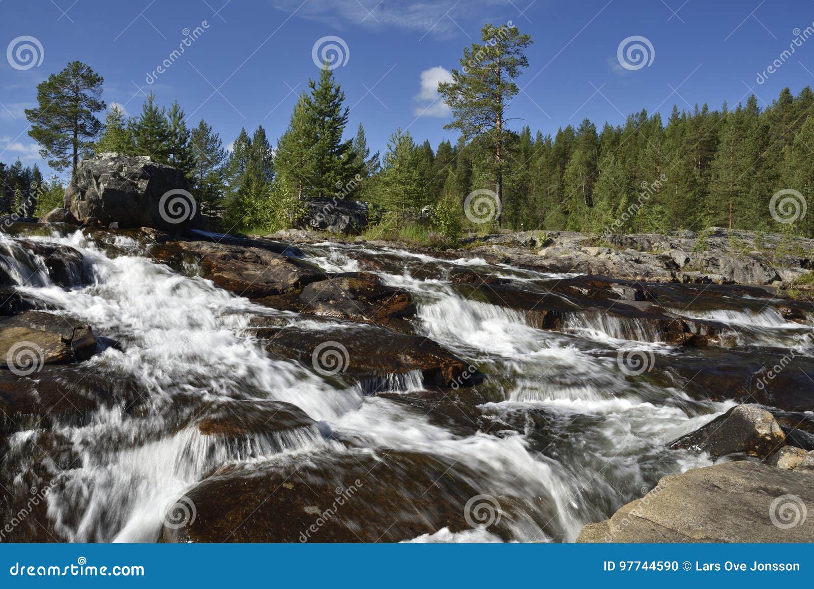 Stream with White Water and Pine Trees in Background Stock Photo ...