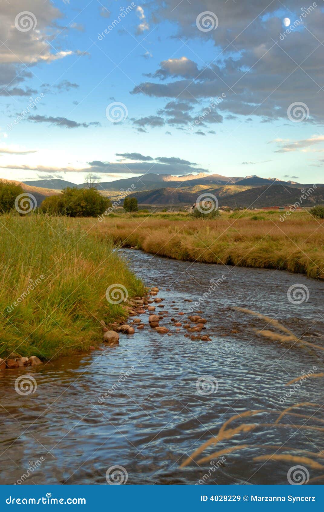 Stream Winding through Meadow Stock Image - Image of grass, meander ...