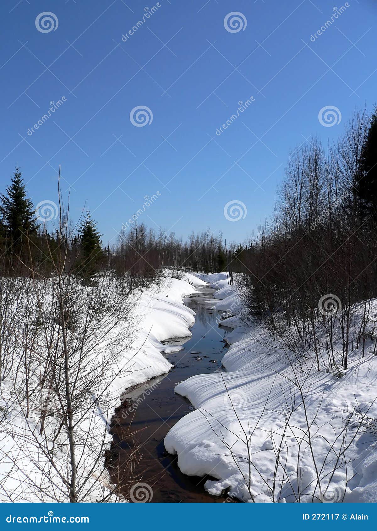 Stream in Winter stock image. Image of forest, north, snow - 272117
