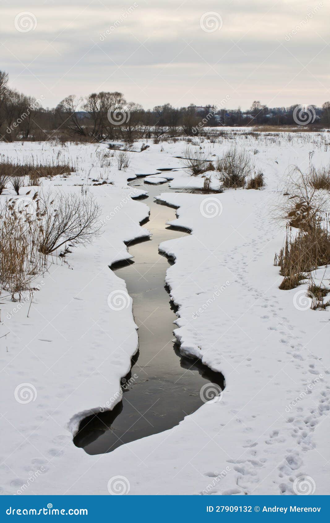 Stream in winter stock photo. Image of reflection, shrubs - 27909132