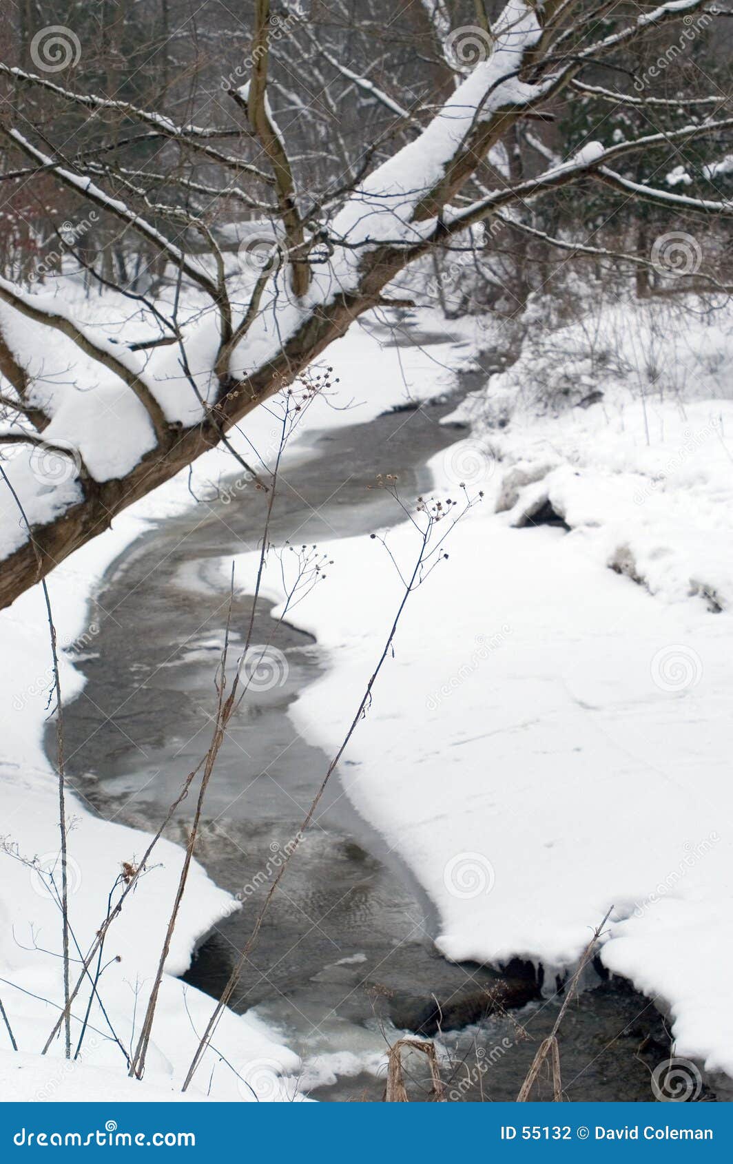 Stream in Winter stock photo. Image of frozen, snow, winter - 55132