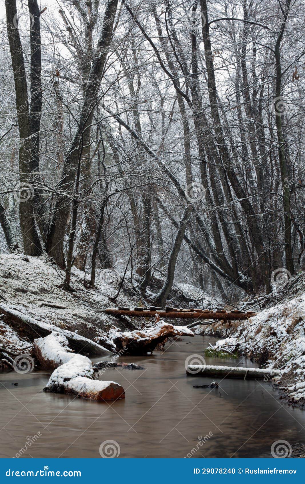 Stream in the Winter Forest Stock Photo - Image of trees, fresh: 29078240