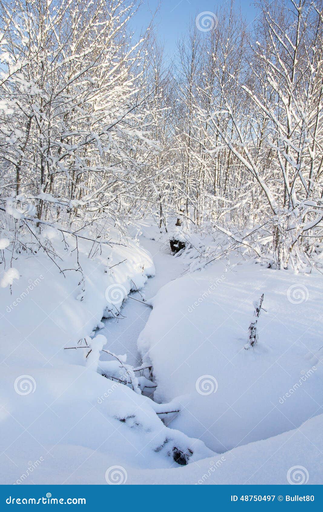 The Stream in the Winter Forest Stock Image - Image of nature, beauty ...