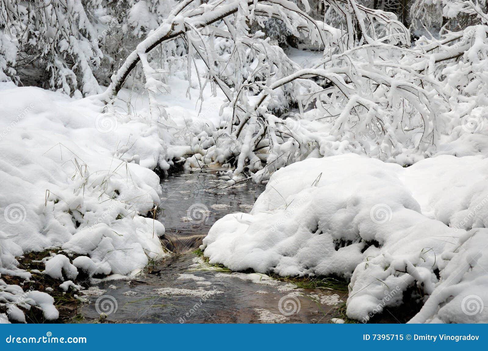 Stream in winter wood stock image. Image of wood, snowbound - 7395715