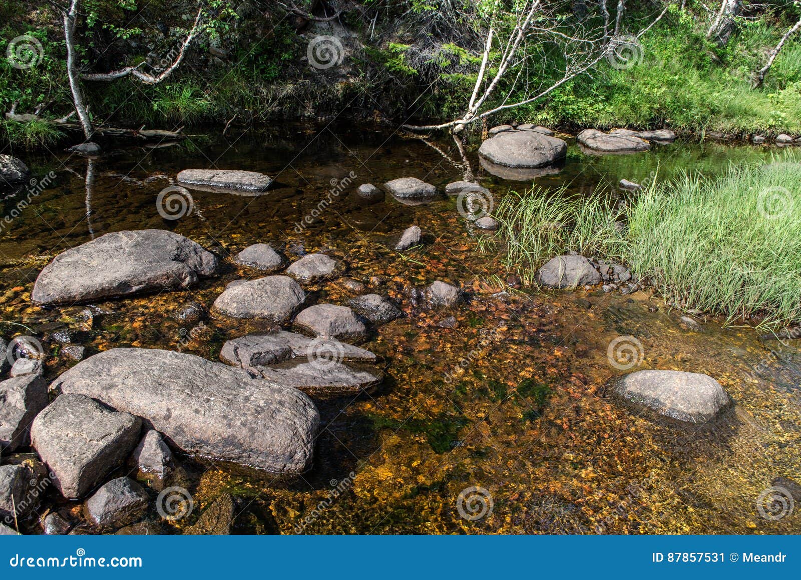Stream in wood stock image. Image of stream, wood, color - 87857531