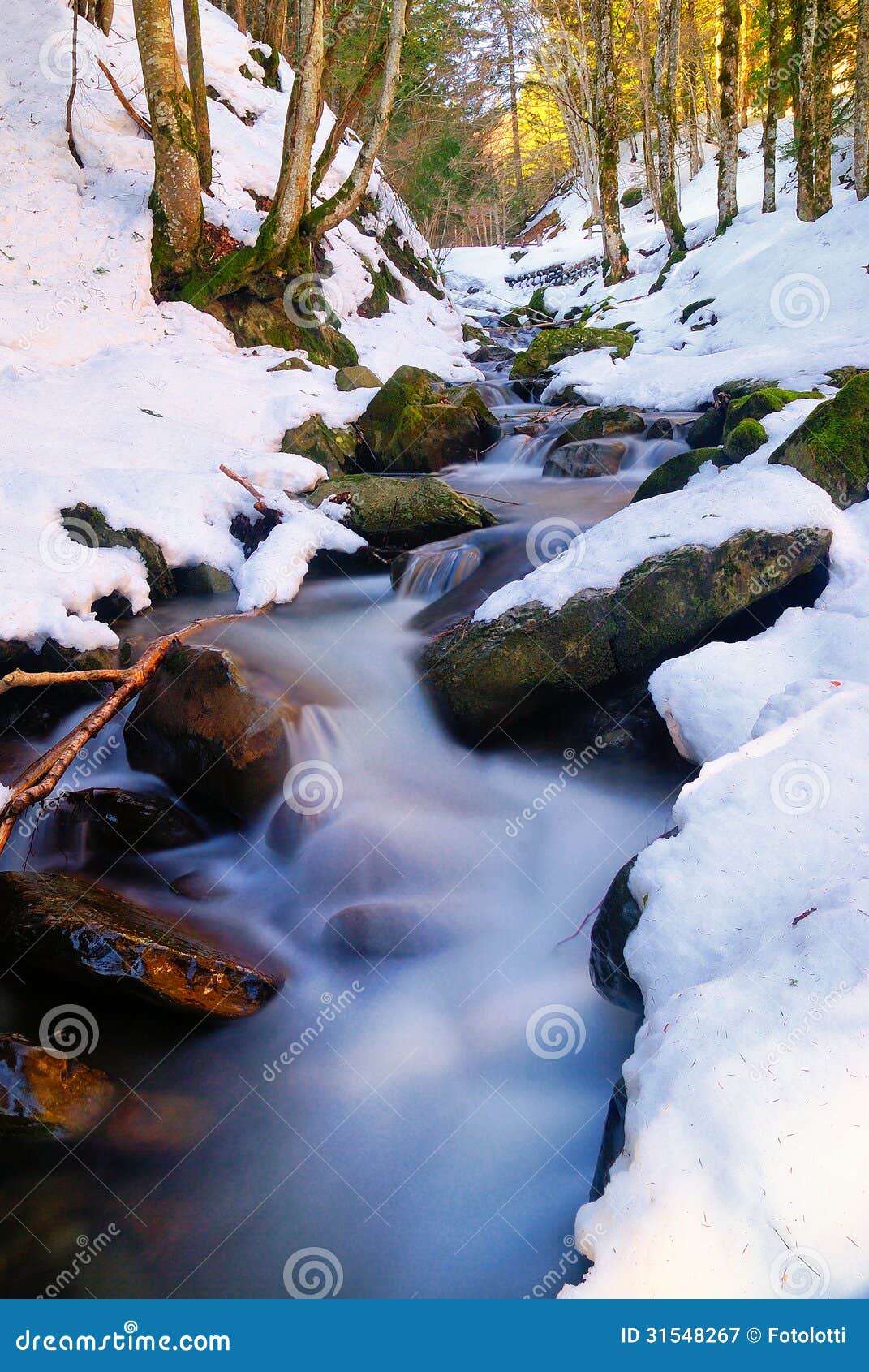Stream in the wood stock image. Image of autumn, snow - 31548267