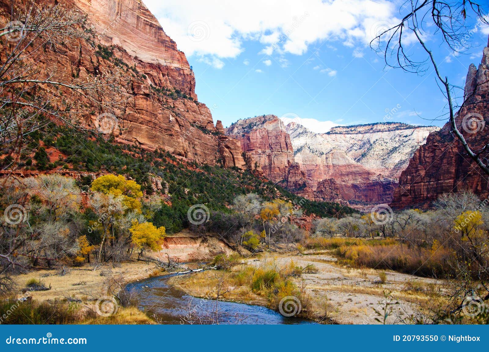 Stream in Zion National Park Stock Photo - Image of rocks, season: 20793550