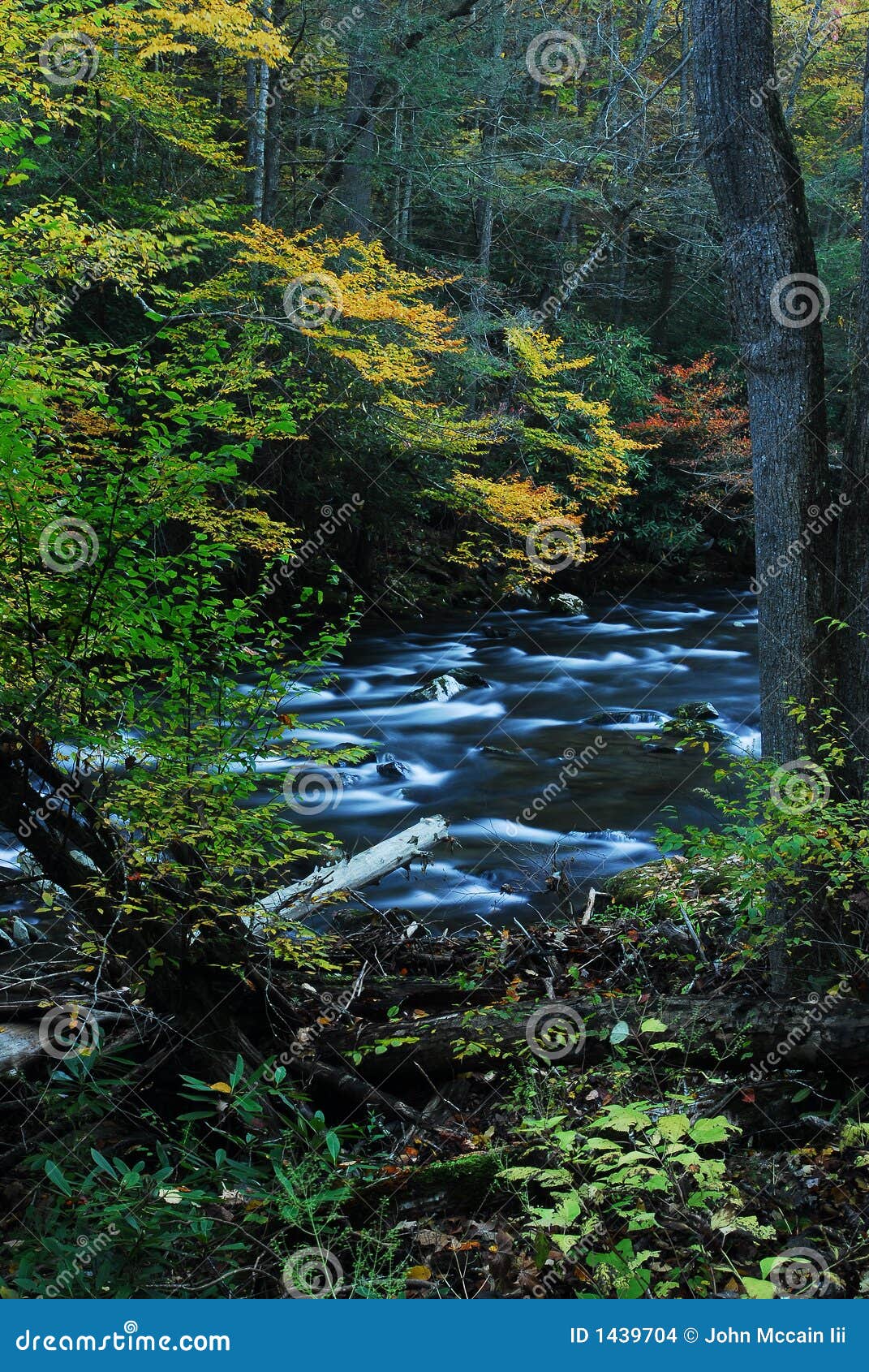 Streambed stock photo. Image of smokey, water, autumn - 1439704