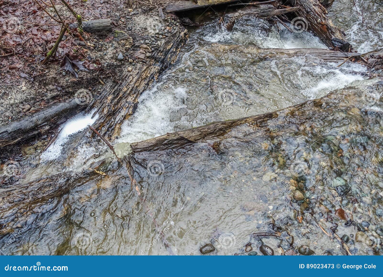 Streambed Macro Stock Photos - Free & Royalty-Free Stock Photos from ...