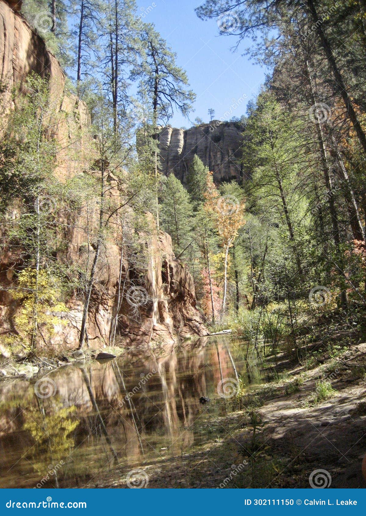 Streambed or a stream bed stock photo. Image of flood - 302111150