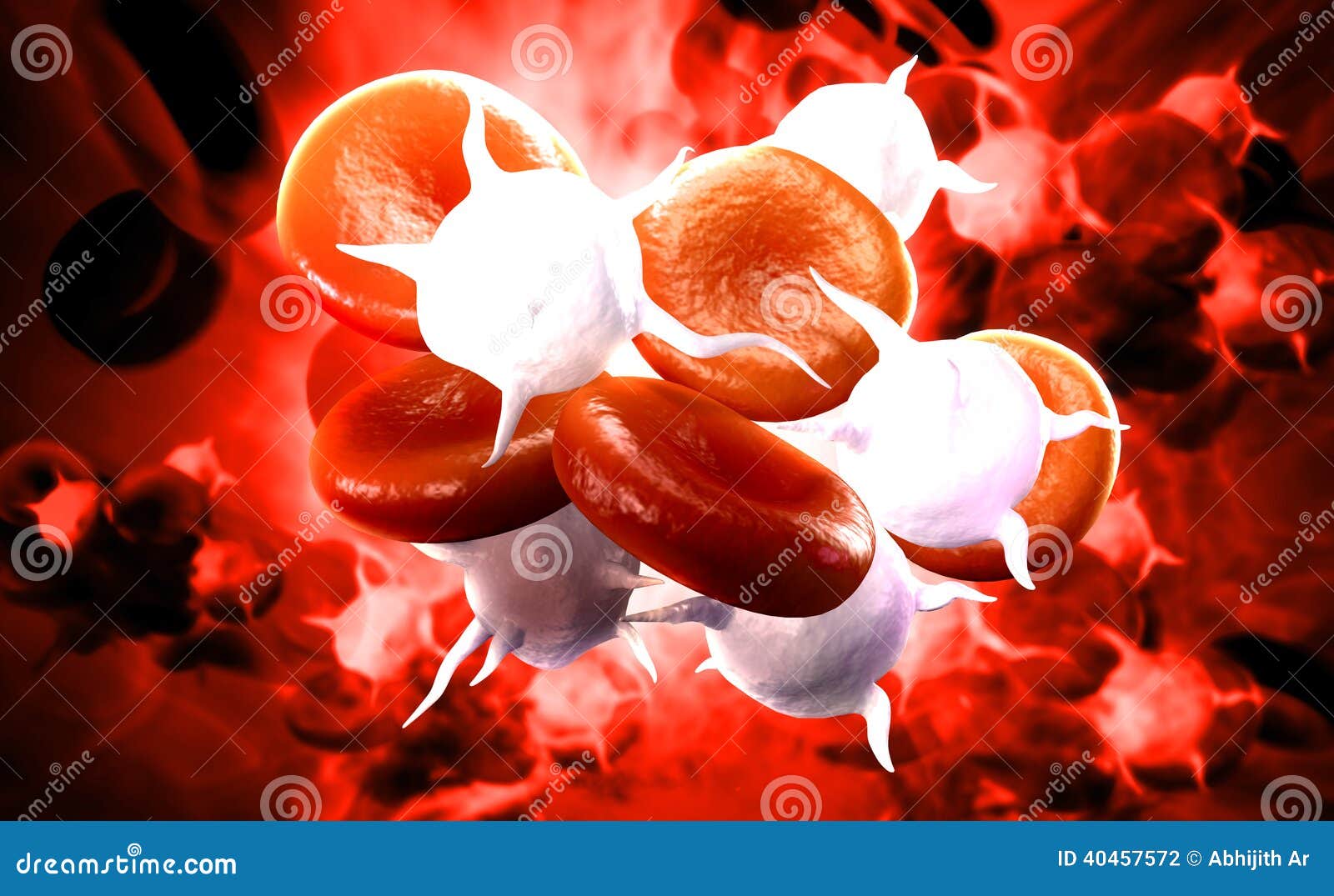 Streaming Blood Red Cells. Realistic Macro Erythrocytes Flow Background ...