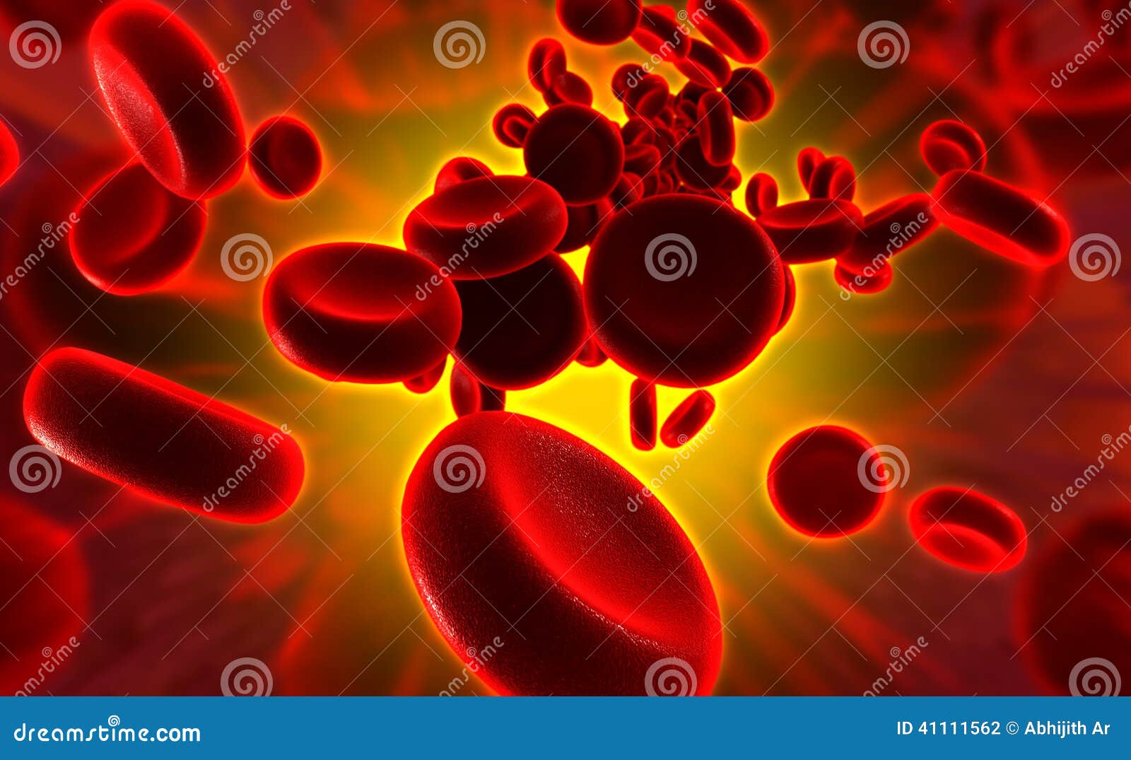 Streaming Blood Red Cells. Realistic Macro Erythrocytes Flow Background ...