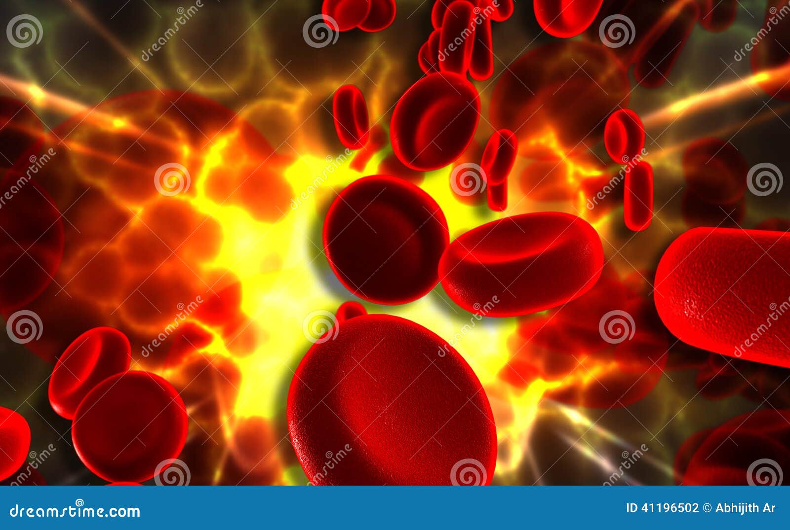 Streaming Blood Red Cells. Realistic Macro Erythrocytes Flow Background ...