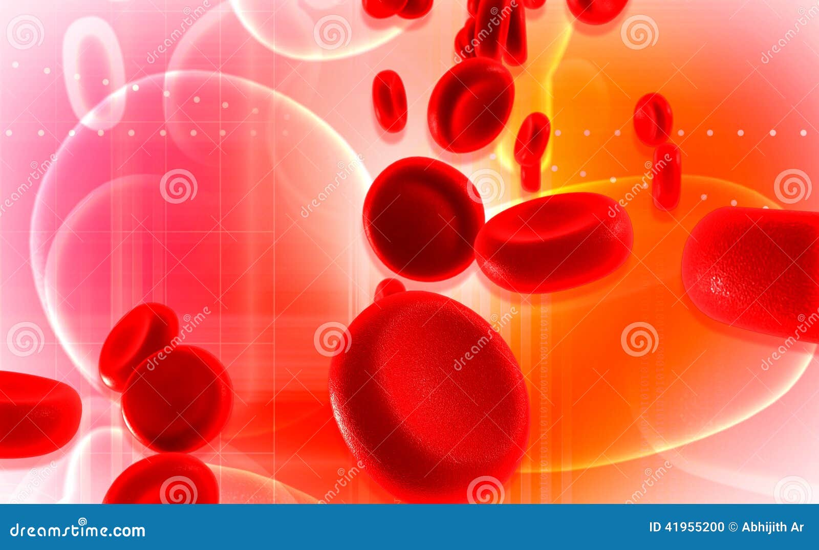 Streaming Blood Red Cells. Realistic Macro Erythrocytes Flow Background ...