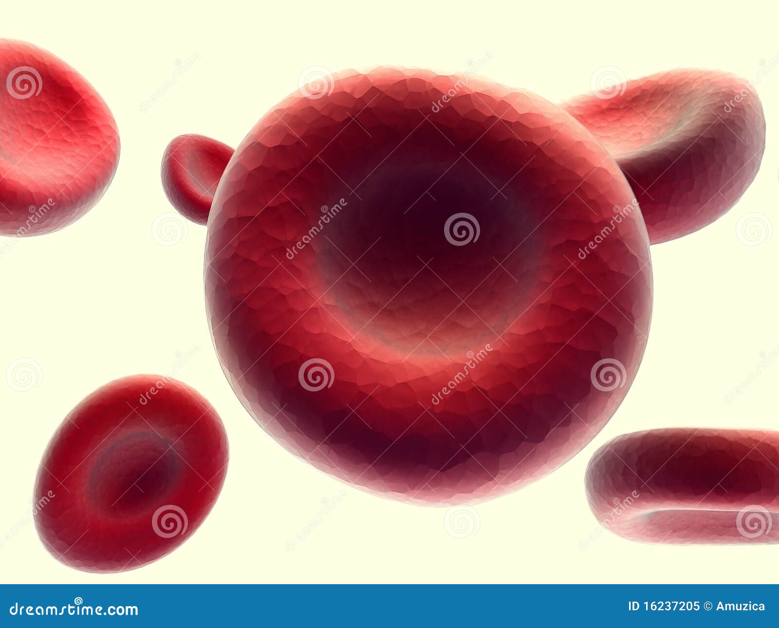 3d Flow Red Blood Cells Iron Platelets Erythrocyte. Realistic Medical ...