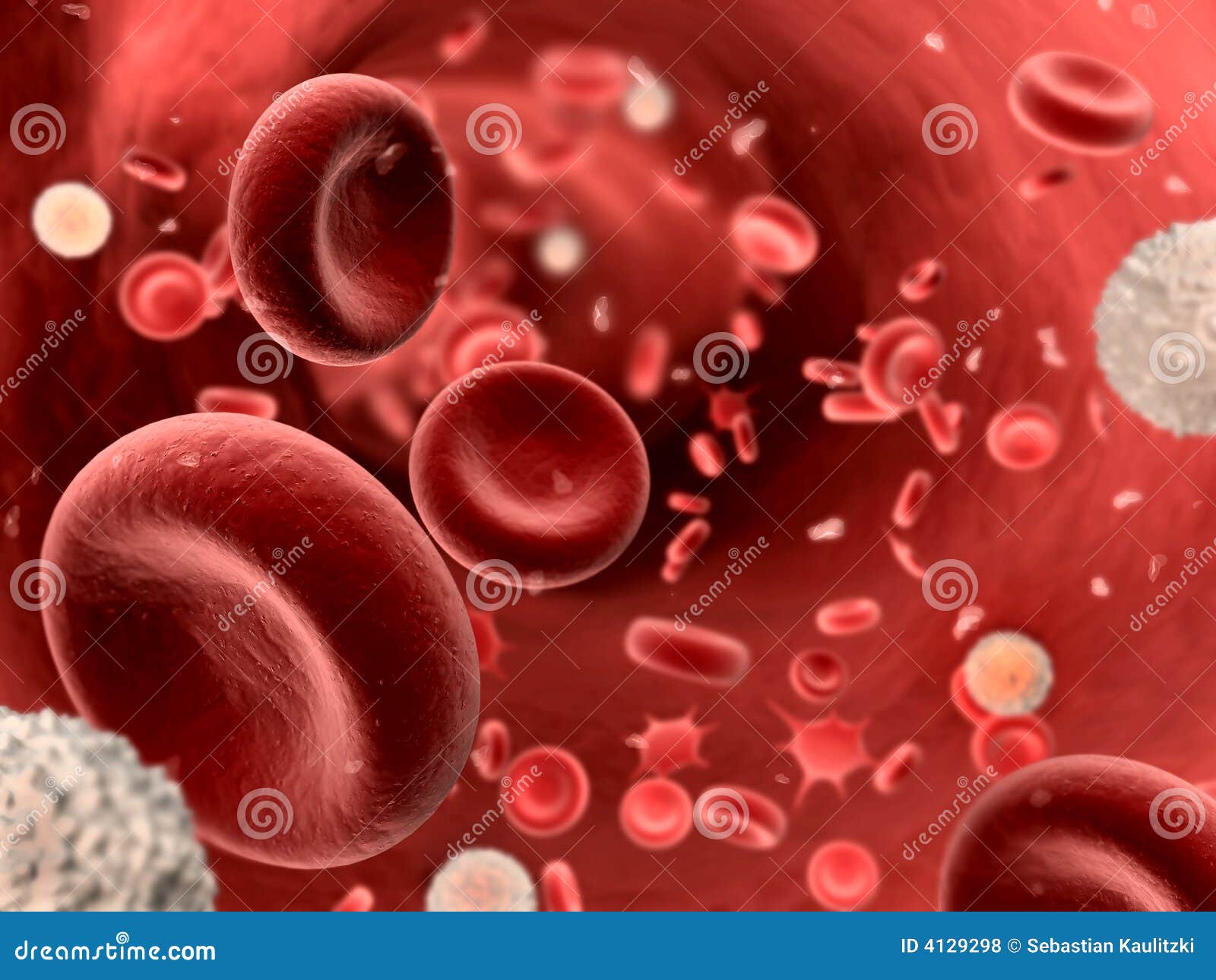 Streaming Blood with Platletes and Leucocytes Stock Illustration ...