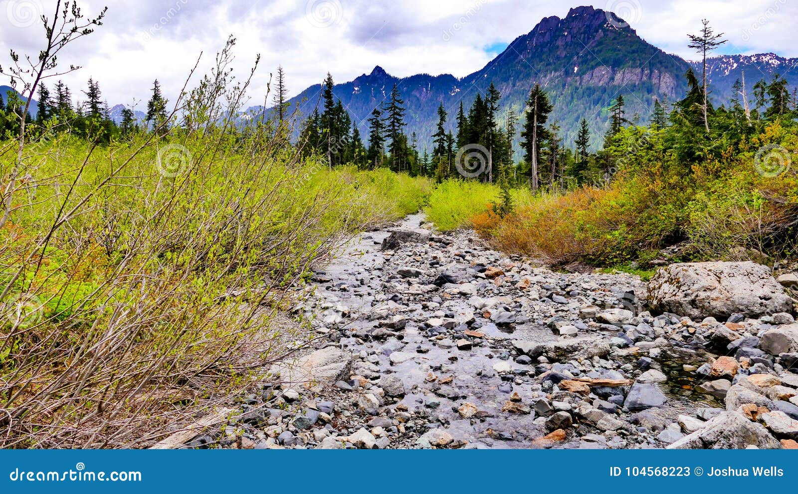 Streaming through stock image. Image of fields, baker - 104568223