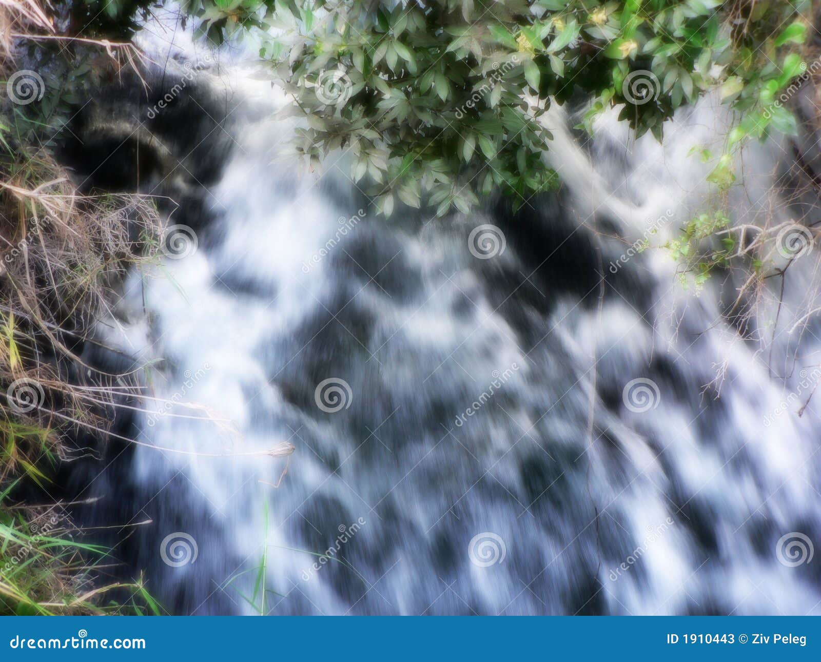 Streaming River Picture. Image: 1910443