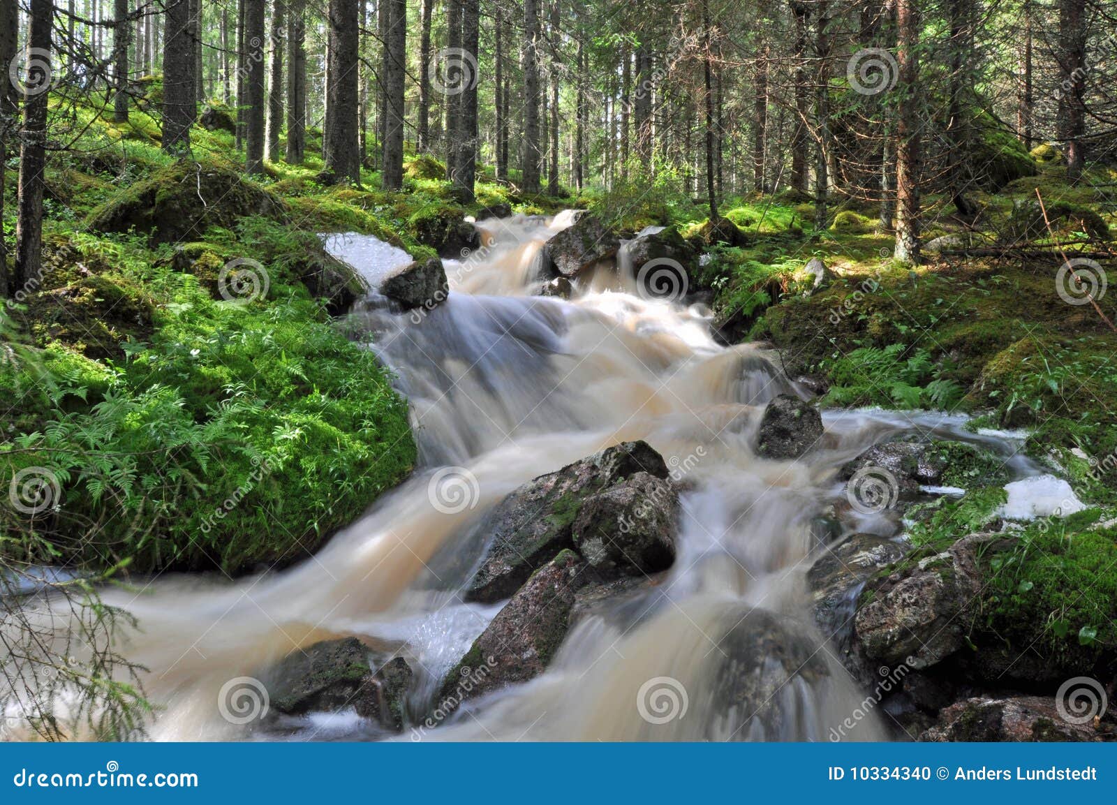 Streaming water stock photo. Image of wilderness, raining - 10334340
