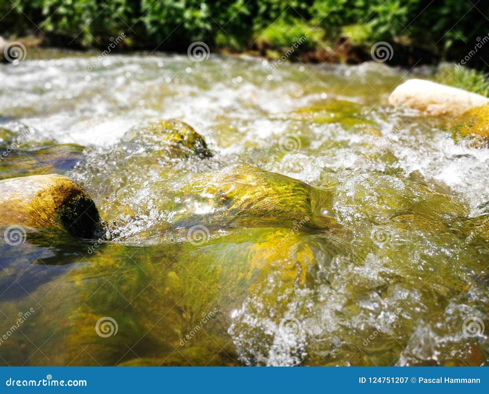 Streaming Water stock image. Image of mossy, water, closeup - 124751207