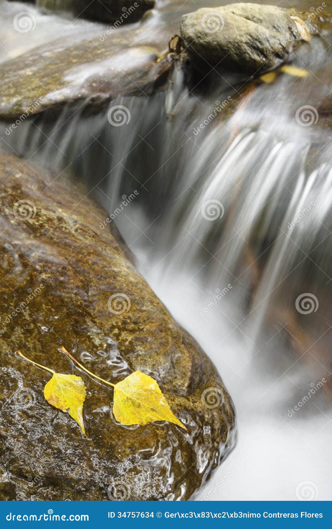 Streaming Water between Rocks with Autumn Leaves Stock Photo - Image of ...