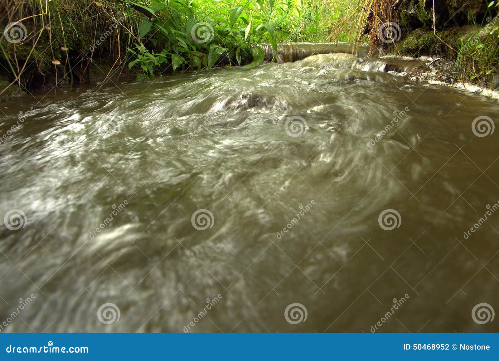 Streaming water stock photo. Image of creek, rush, nature - 50468952