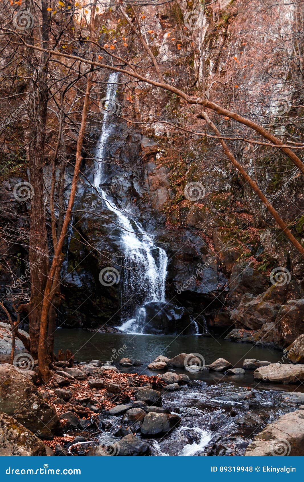 Streaming Waterfall in Autumn Stock Photo - Image of autumn, natural ...