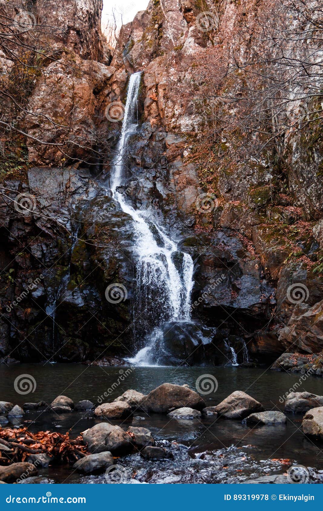 Streaming Waterfall in Autumn Stock Photo - Image of environment ...