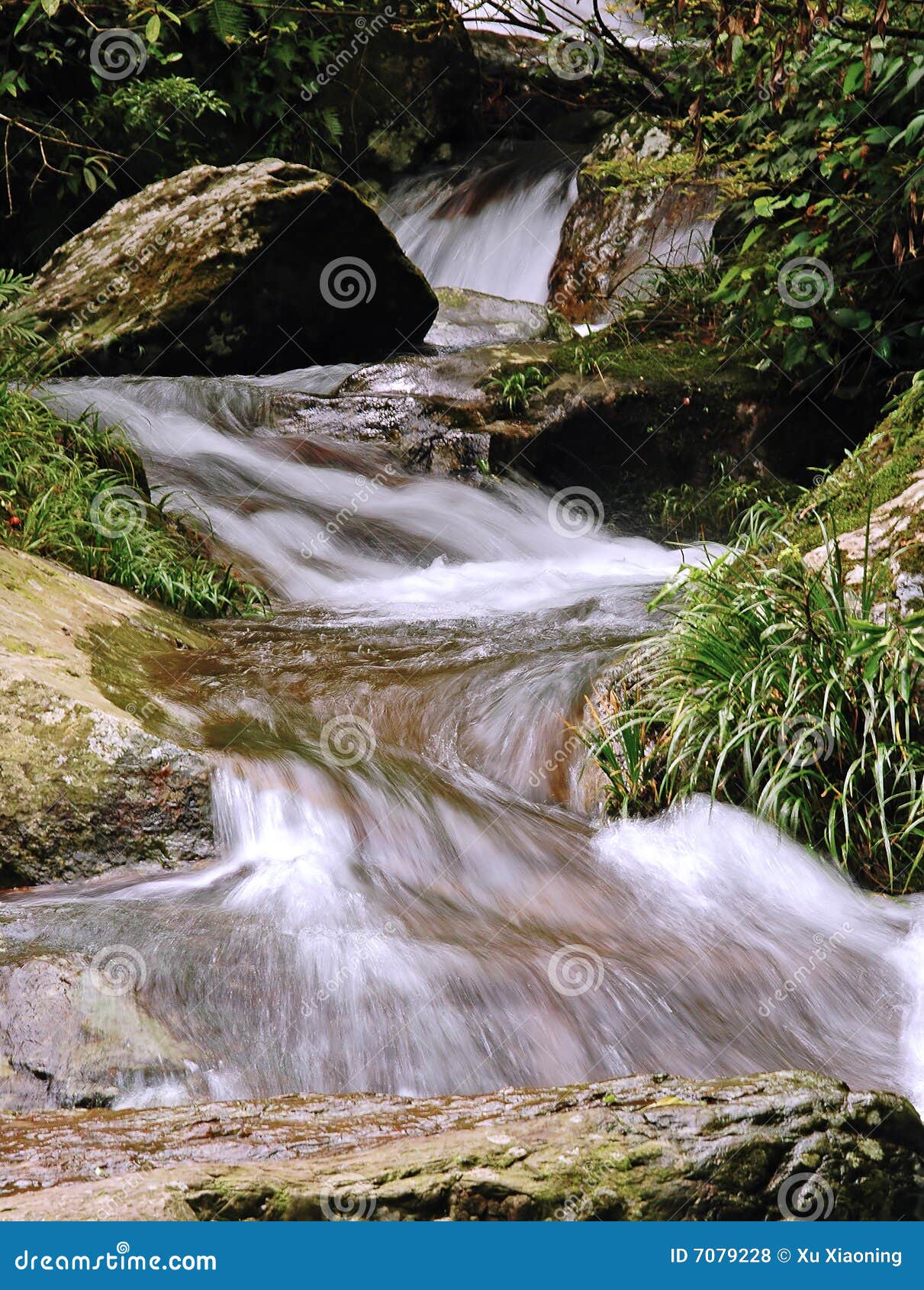 Streamlet stock photo. Image of park, travel, rill, sightseeing - 7079228