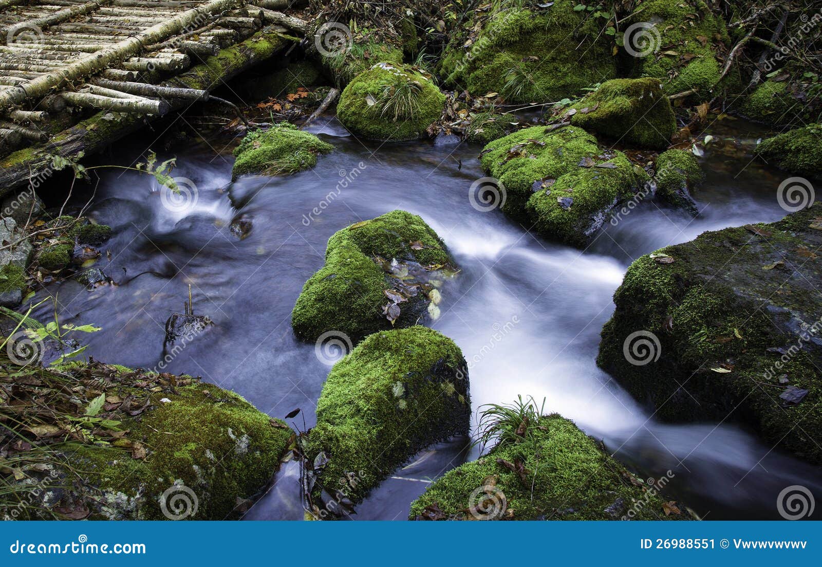 Streamlet and bridge stock image. Image of stream, beautiful - 26988551