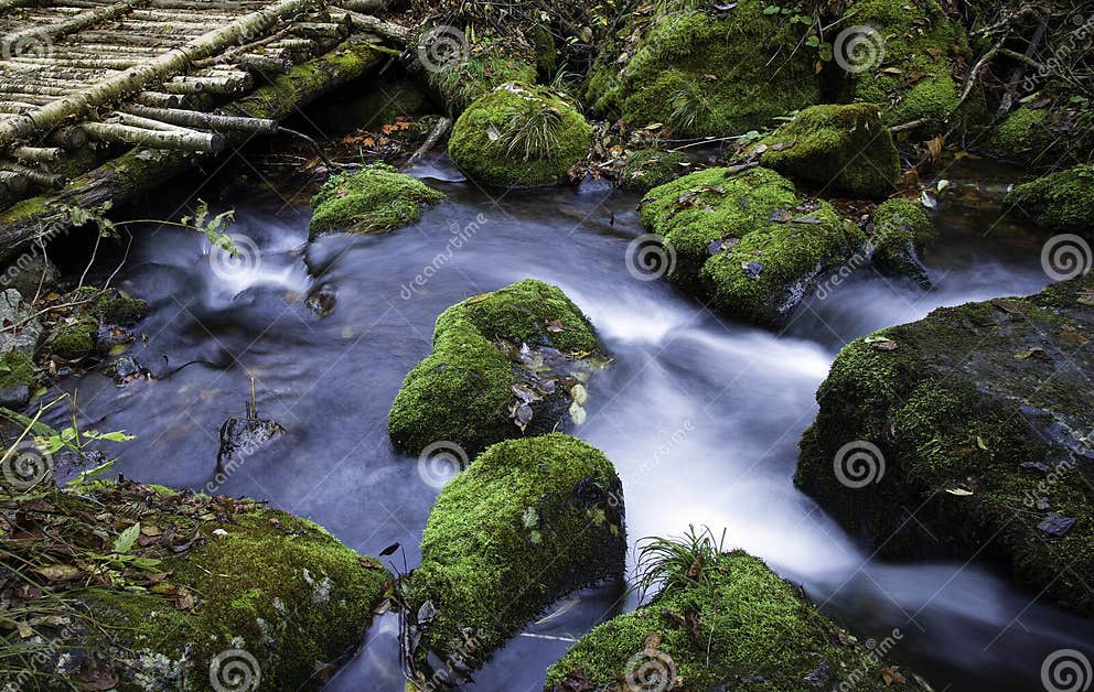 Streamlet and bridge stock image. Image of stream, beautiful - 26988551