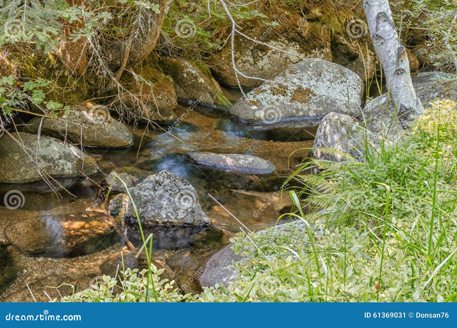 Streamlet stock image. Image of water, stream, small - 61369031