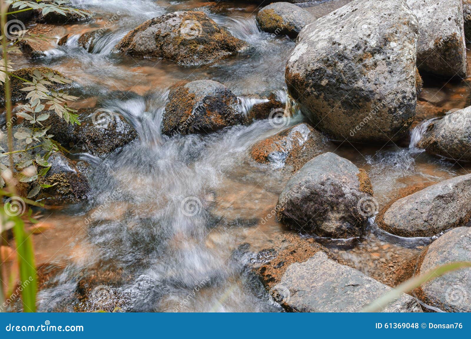 Streamlet stock photo. Image of stone, forest, rock, small - 61369048