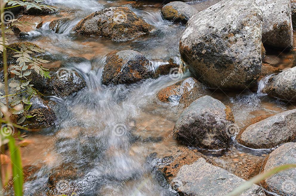 Streamlet stock photo. Image of stone, forest, rock, small - 61369048