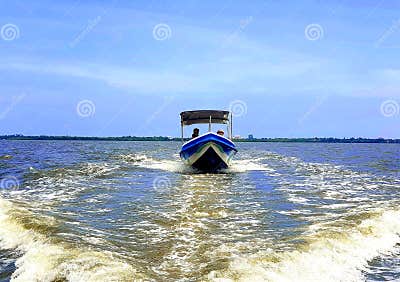 In the Streamline of the Boat in Front Stock Image - Image of front ...