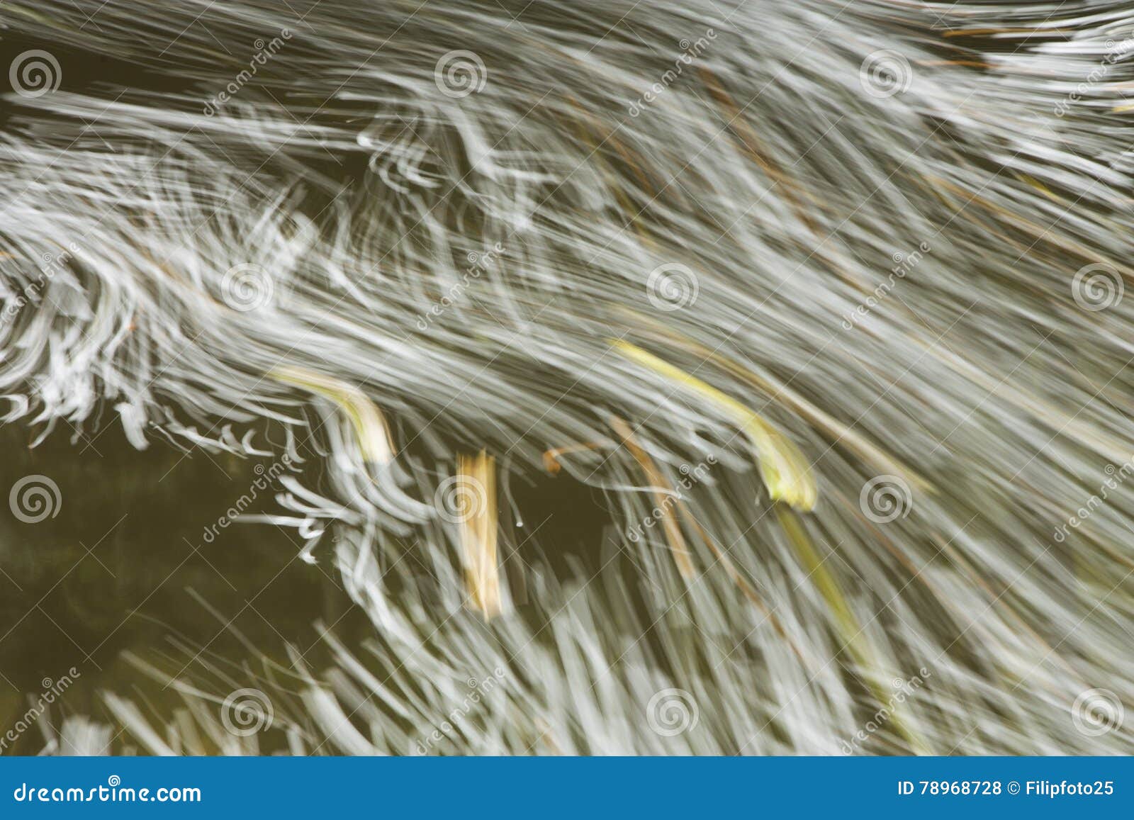 Streamlines in Flowing River Stock Photo - Image of characteristic ...