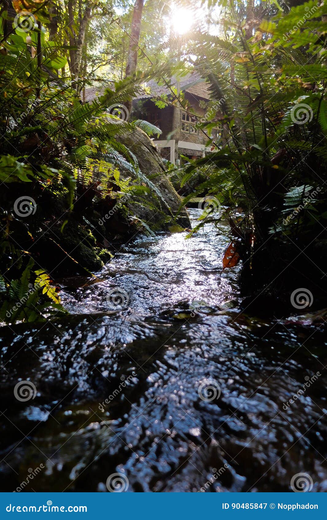 Streams that Flow through the House in Morning Stock Image - Image of ...