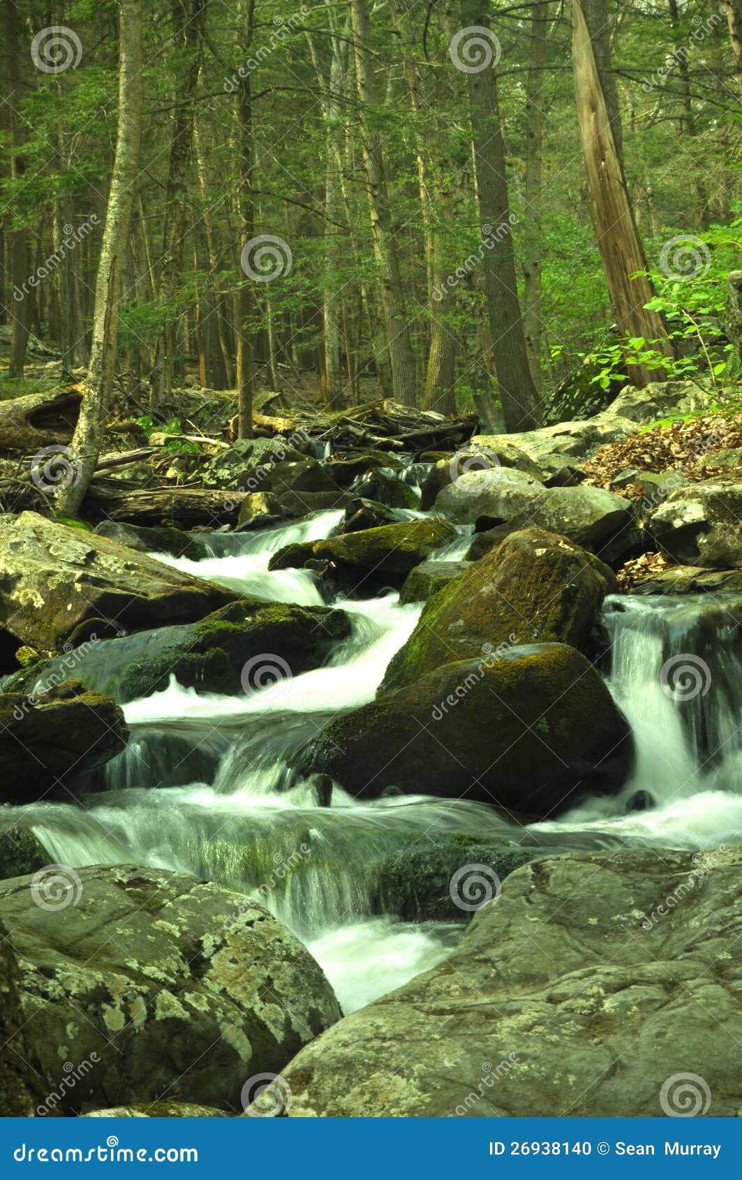 Streams and Rocks stock photo. Image of waterfall, streams - 26938140