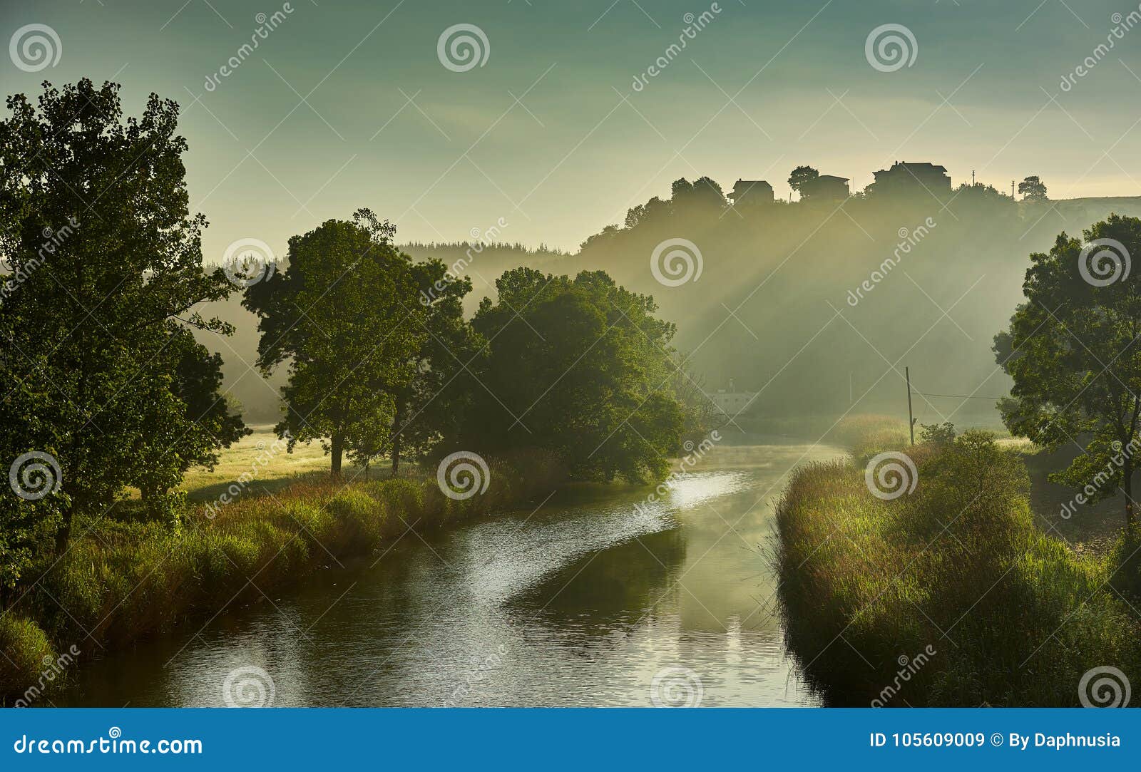 Streams and Trees at Sunrise Stock Image - Image of sunset, water ...